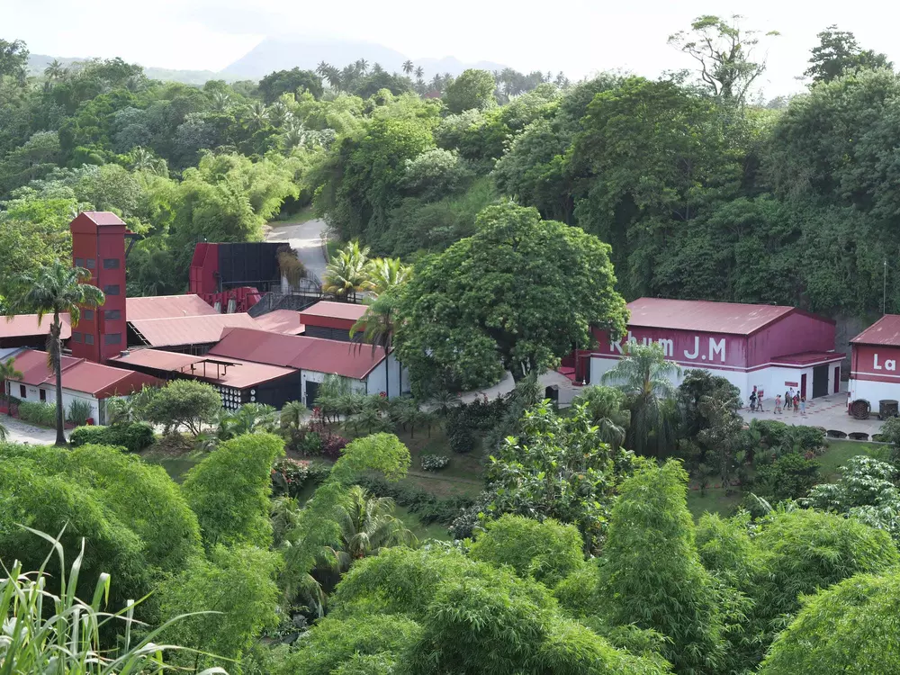 La distillerie JM en Martinique - Tourcrib