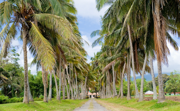 La ville de Basse-Pointe en Martinique - Tourcrib