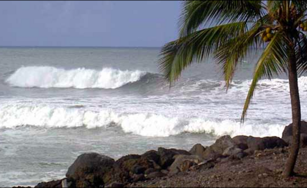 Basse-Pointe in Martinique: Useful information - Tourcrib