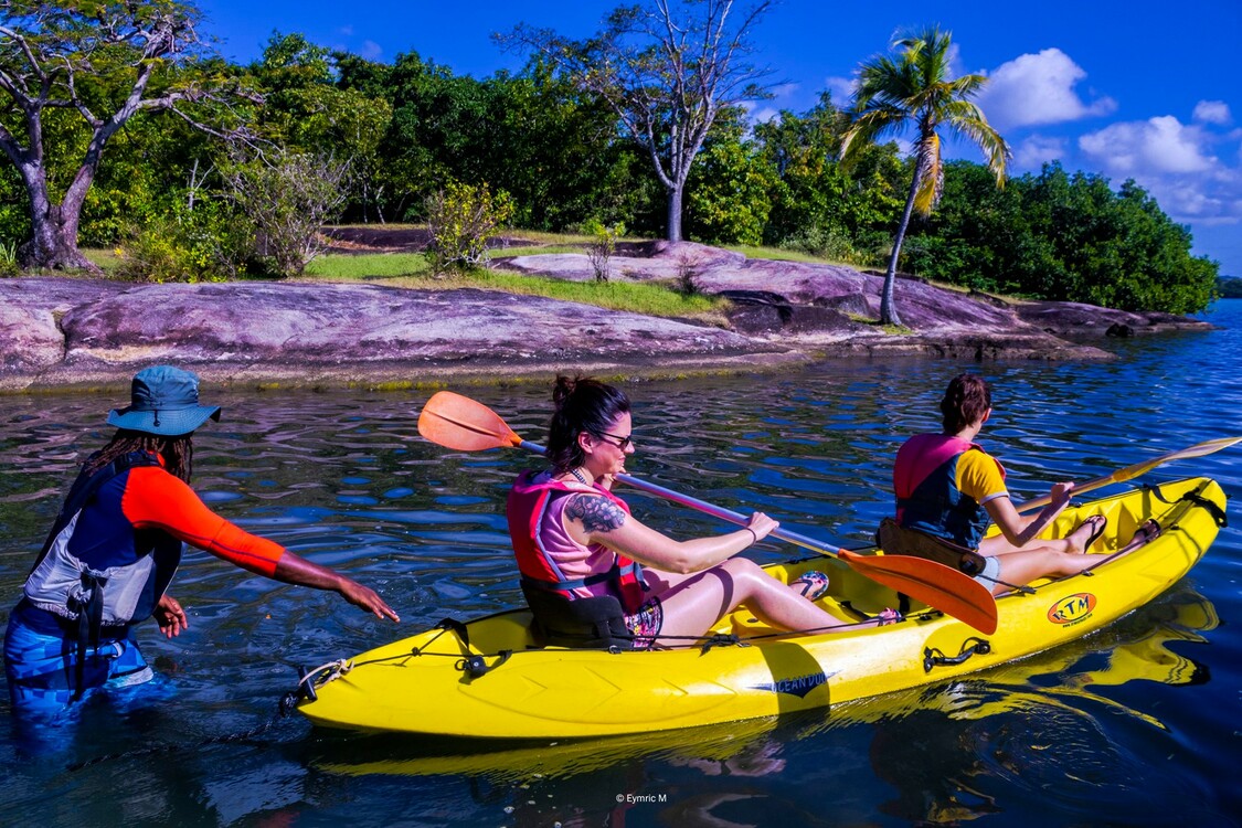 Petite randonnée guidée en Kayak dans la mangrove des Trois-Ilets ...