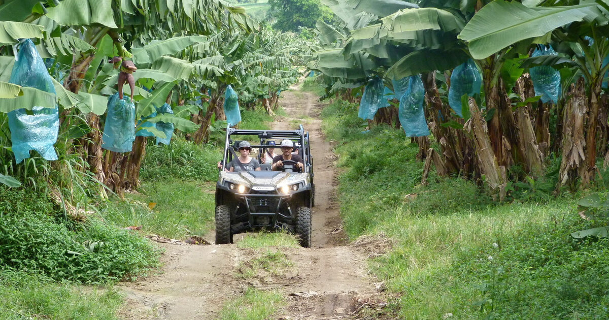 Exotic buggy trip in the North - Tourcrib