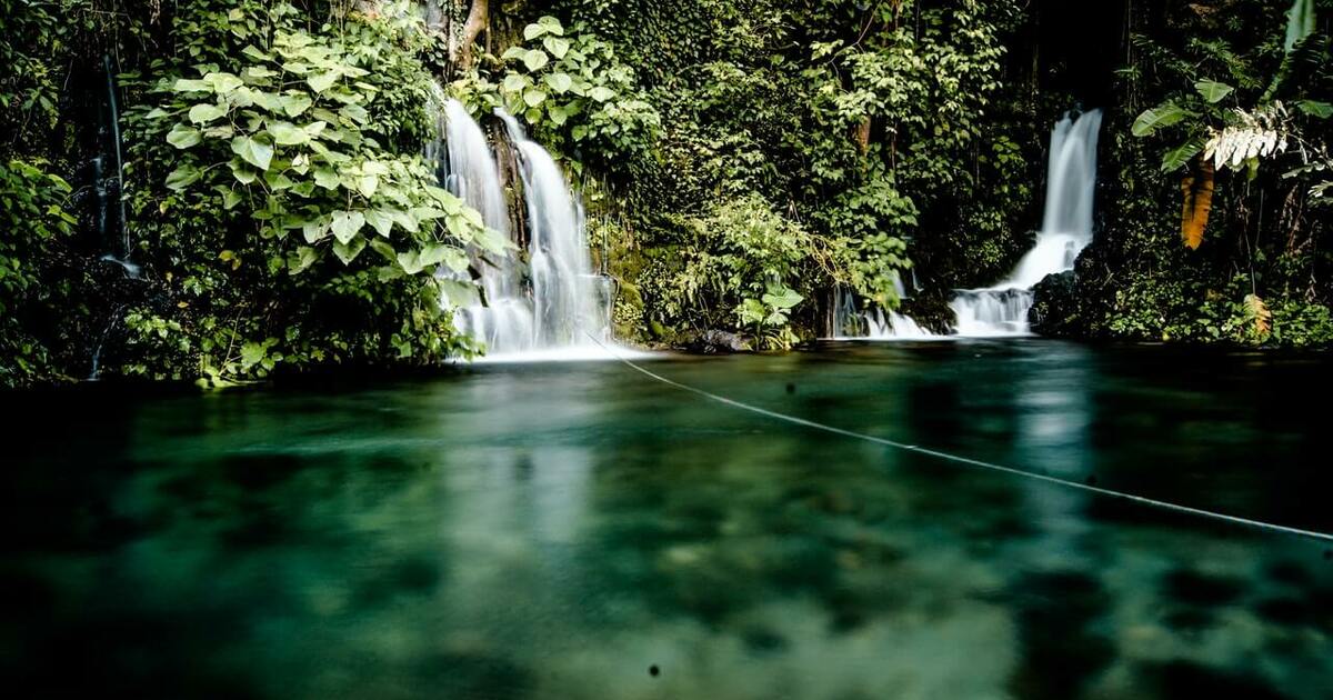 Explore Martinique's wonderful nature - Tourcrib