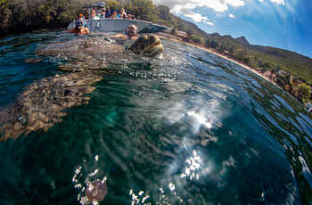 The naturist beach of Anse Trabaud in Martinique - Tourcrib