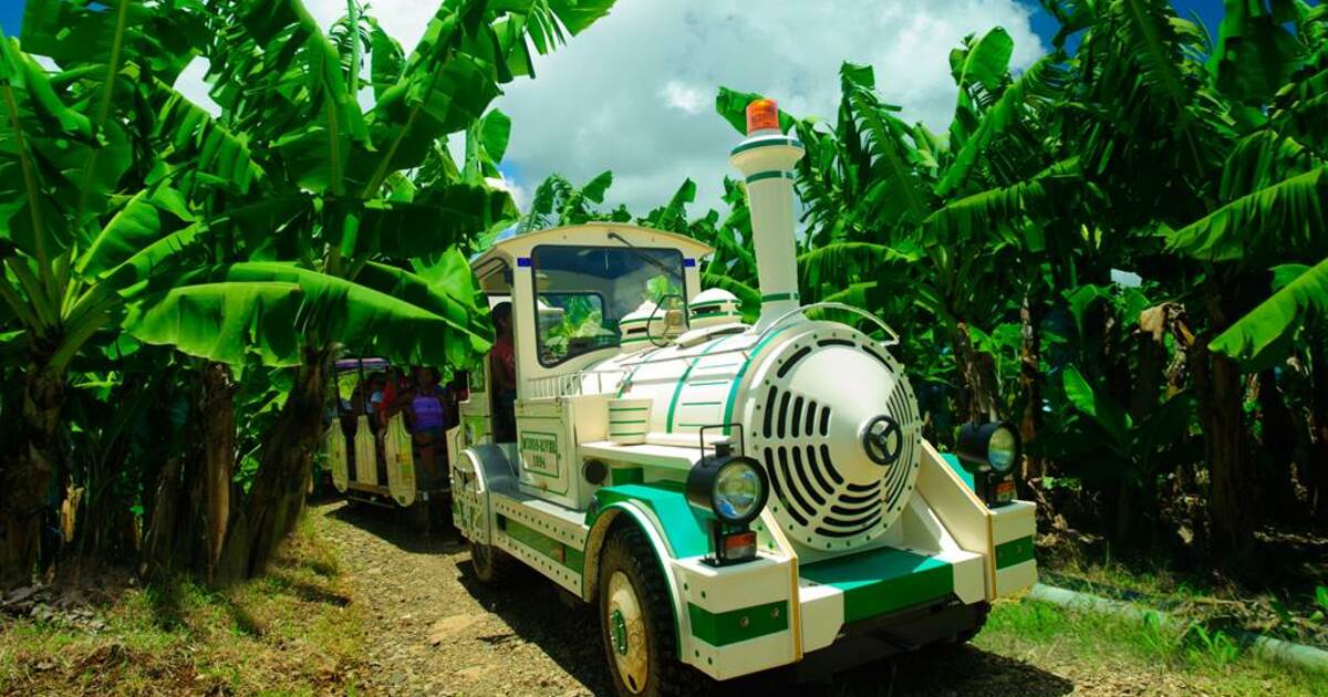 Journey to the heart of Martinique's plantations on the Little Train ...