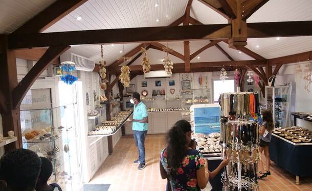 Le Musée de la Mer en Martinique - Tourcrib