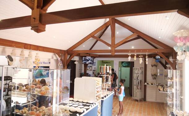 Le Musée de la Mer en Martinique - Tourcrib